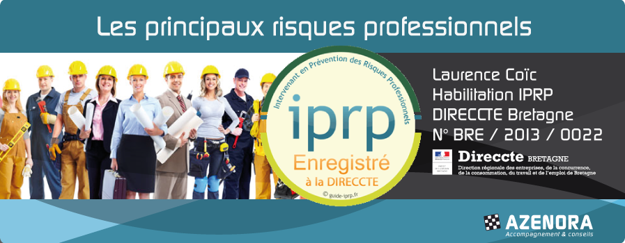 LES PRINCIPAUX RISQUES PROFESSIONNELS | AZENORA